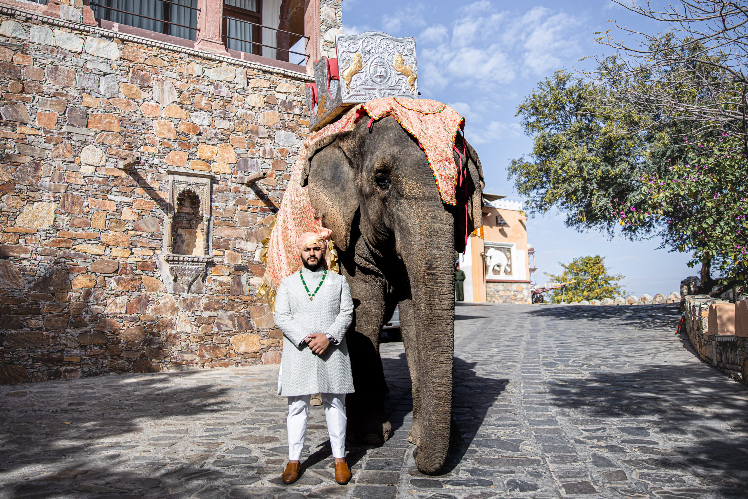 Traditional Indian Wedding Elephant
